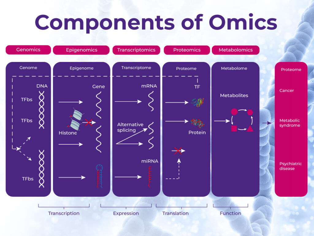 Biomarker Discovery and Validation for Targeted Cancer Therapies