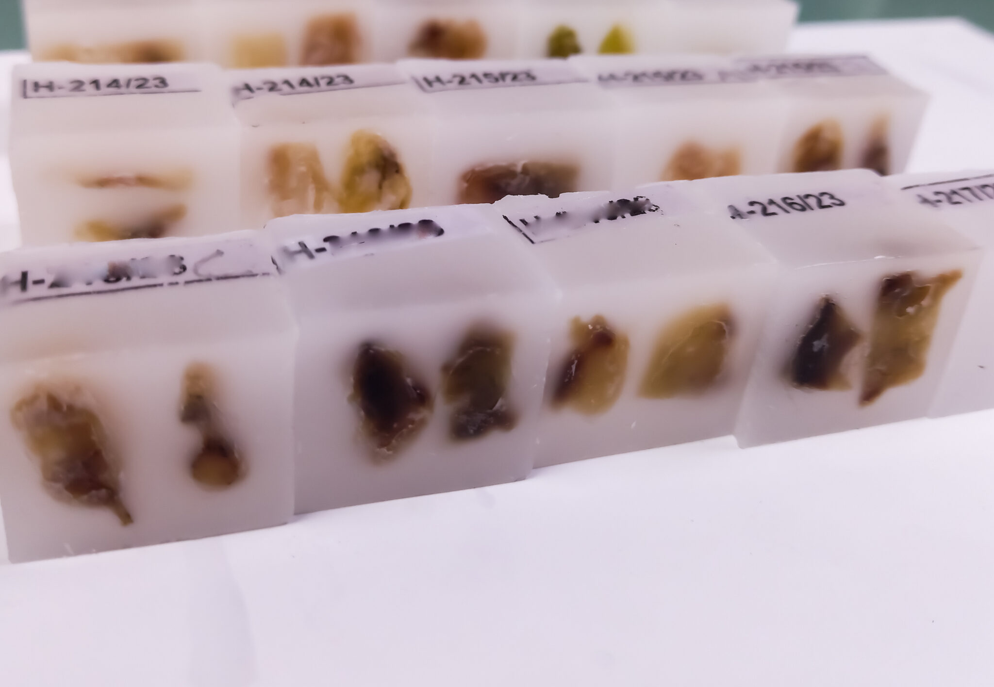 How FFPE Tissue Samples Enhance Preventive Genomics Approaches to ...