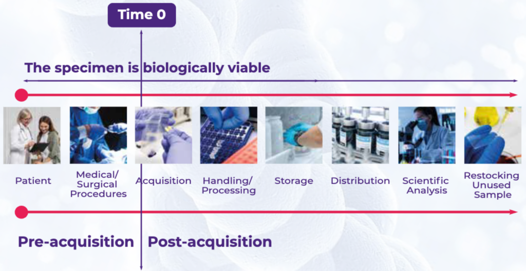 A Comprehensive Guide to Modern Biospecimen Procurement